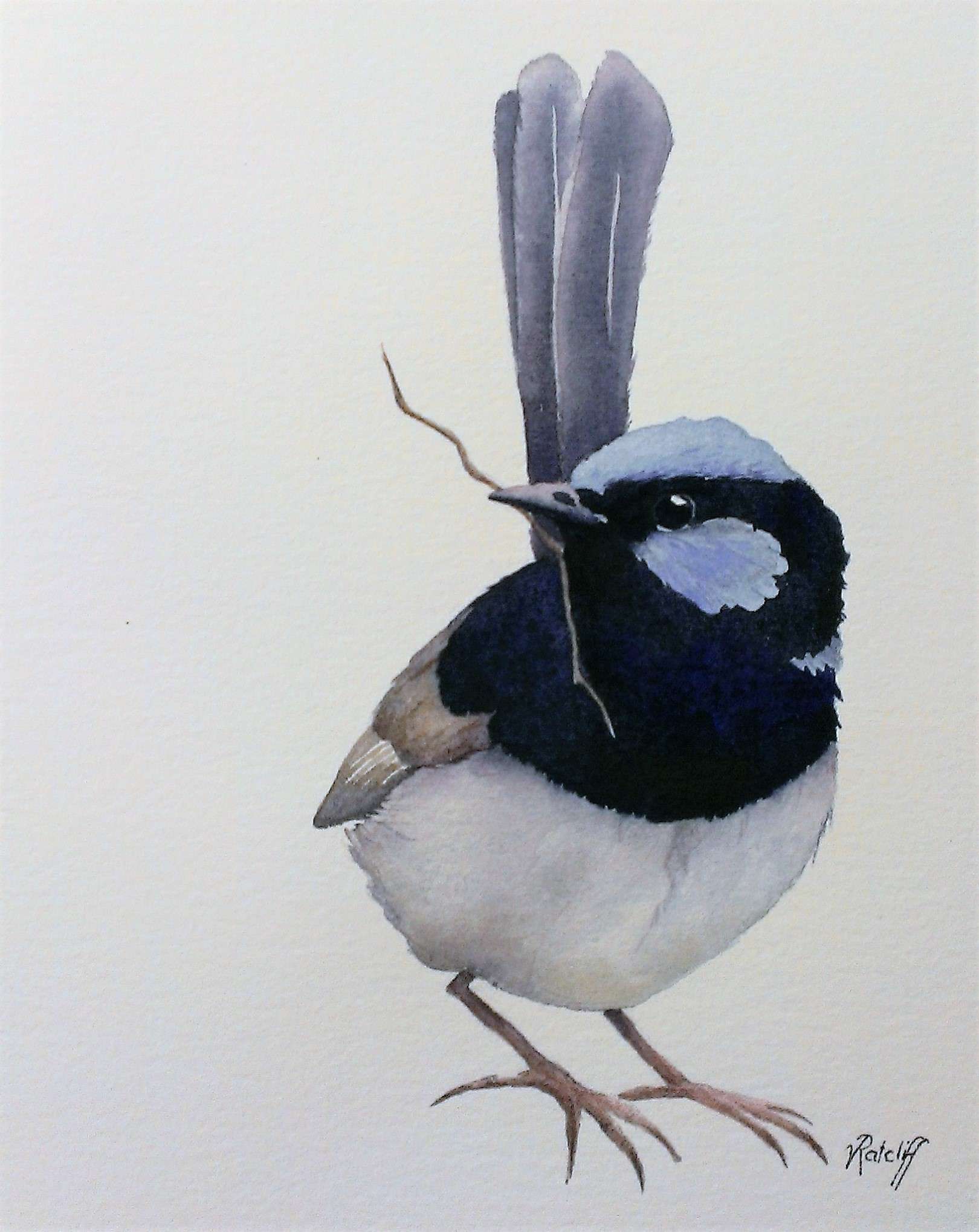 Watercolour - Wren - VICKI RATCLIFF - Artist